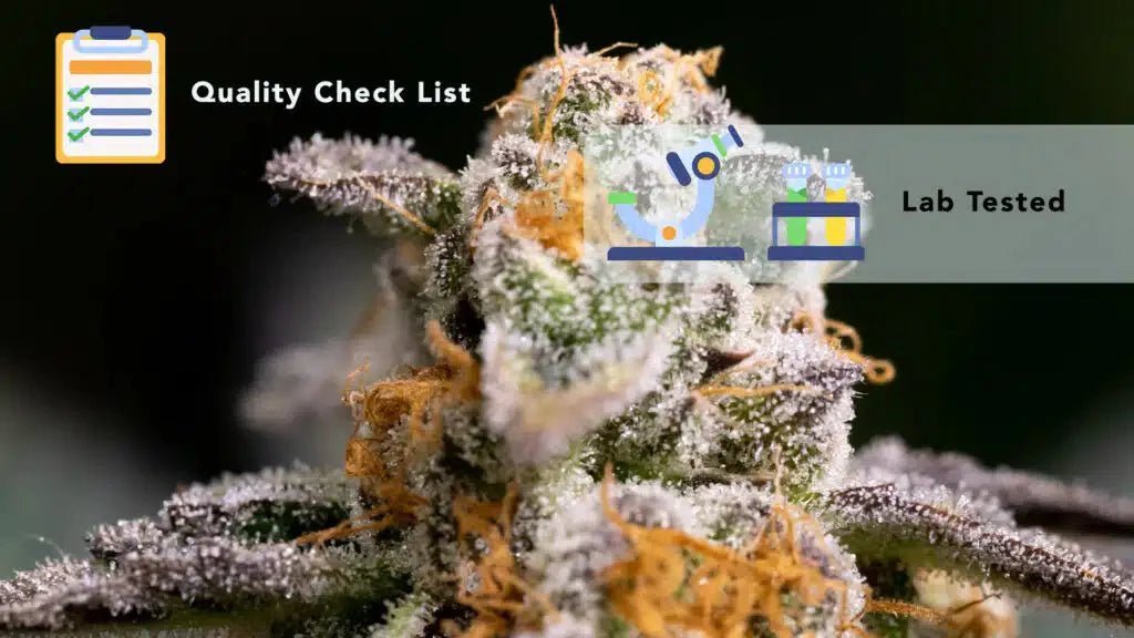 What does good weed / cannabis look like? | How To Identify It ...
